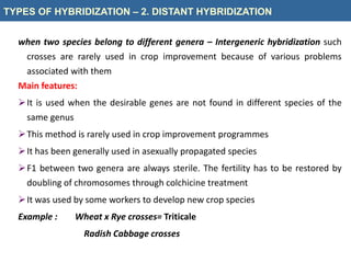 11. hybridization 19.06.2021