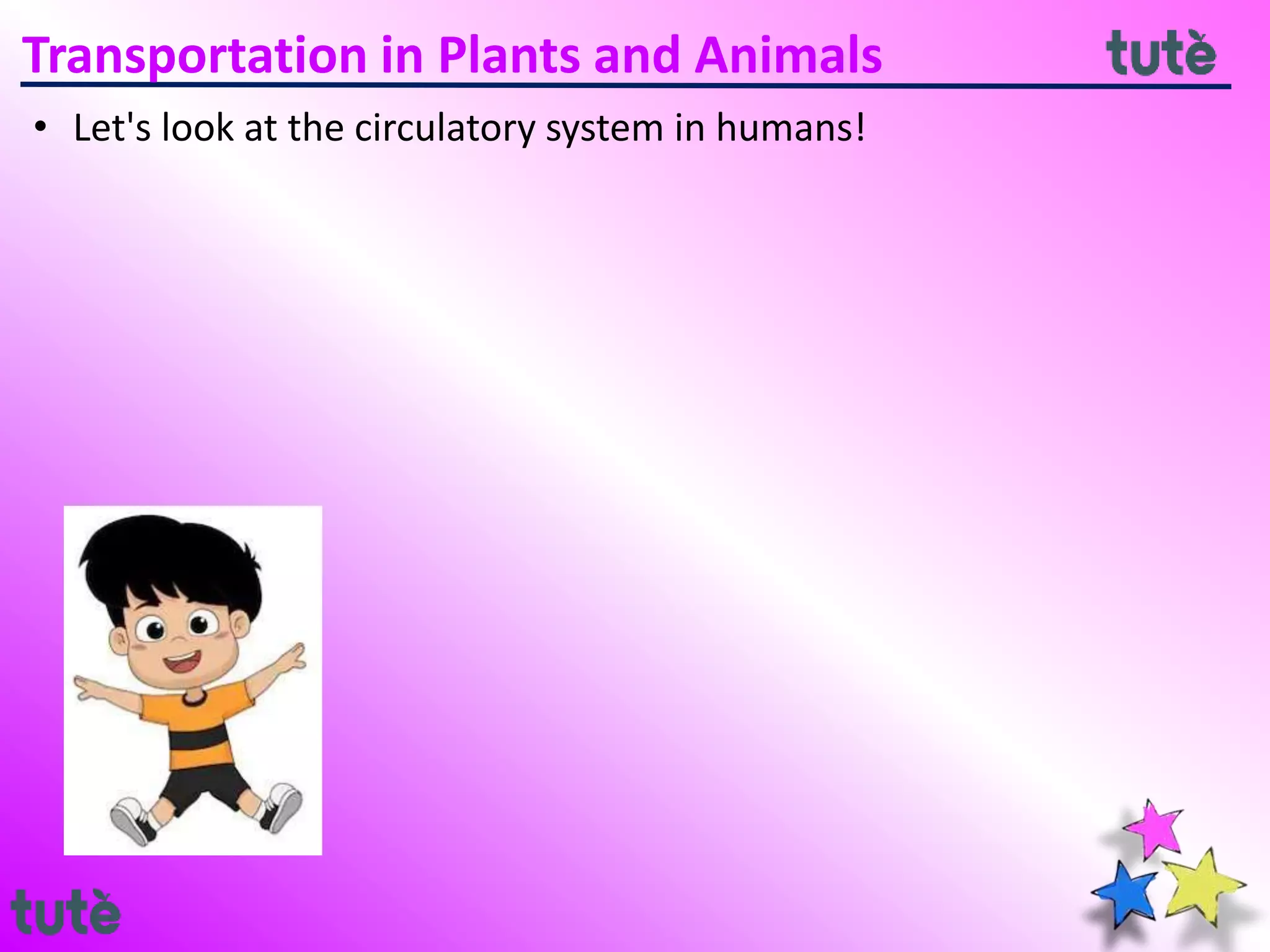 11. 7th CBSE - Transportation in Plants and Animals | PPTX