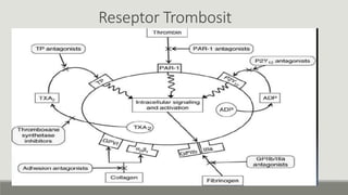 Pemeriksaan agregasi trombosit. | PPTX