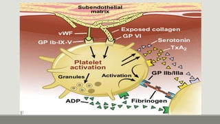 Pemeriksaan agregasi trombosit. | PPTX