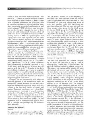 Effects of Pulsed and Sinusoidal Electromagnetic Fields on Rat Testes | PDF