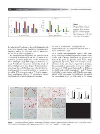 Combining Ellagic Acid with Bevacizumab Mediates the Cadherin Switch ...