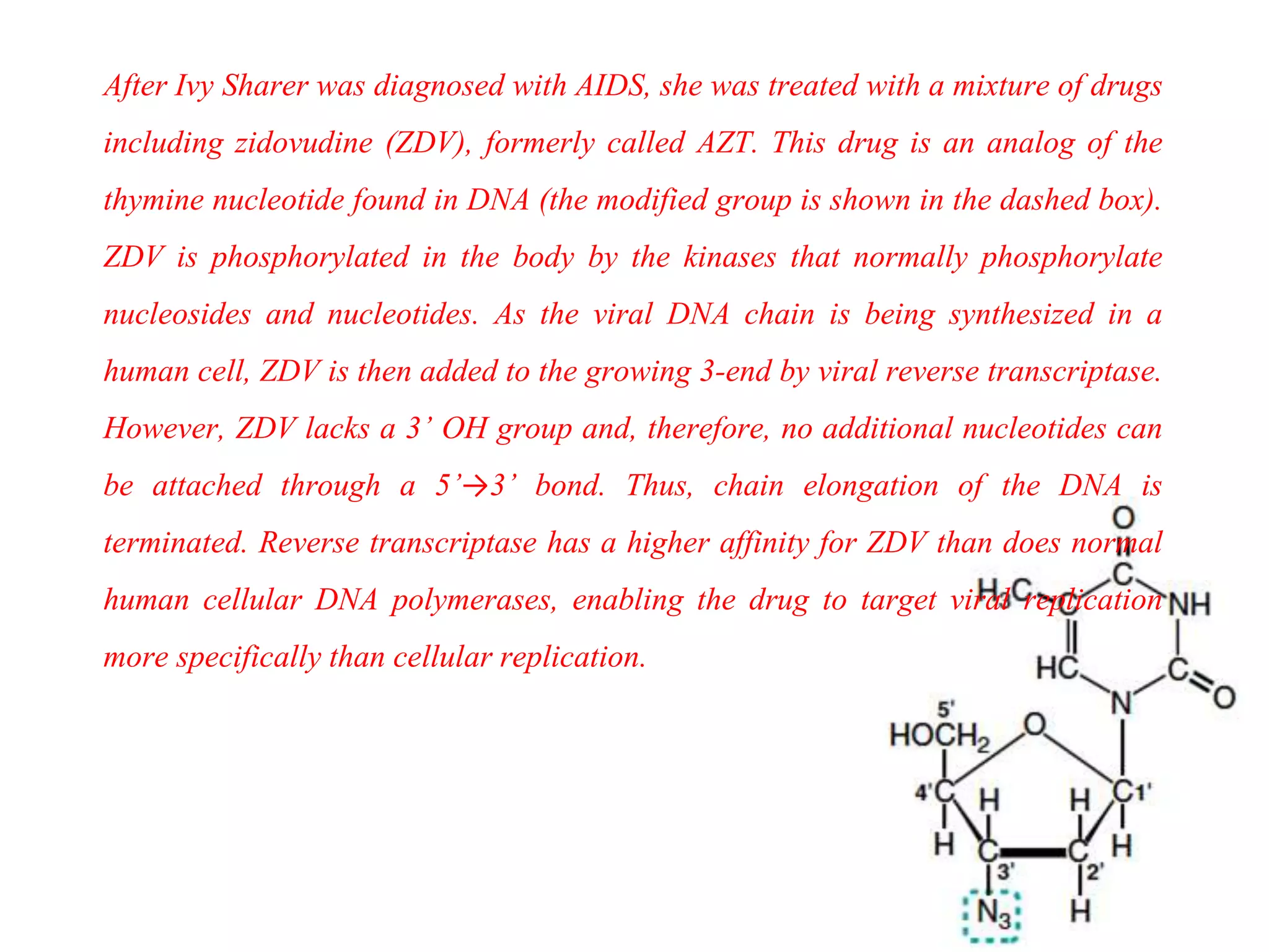 11.nucleic acid | PPT