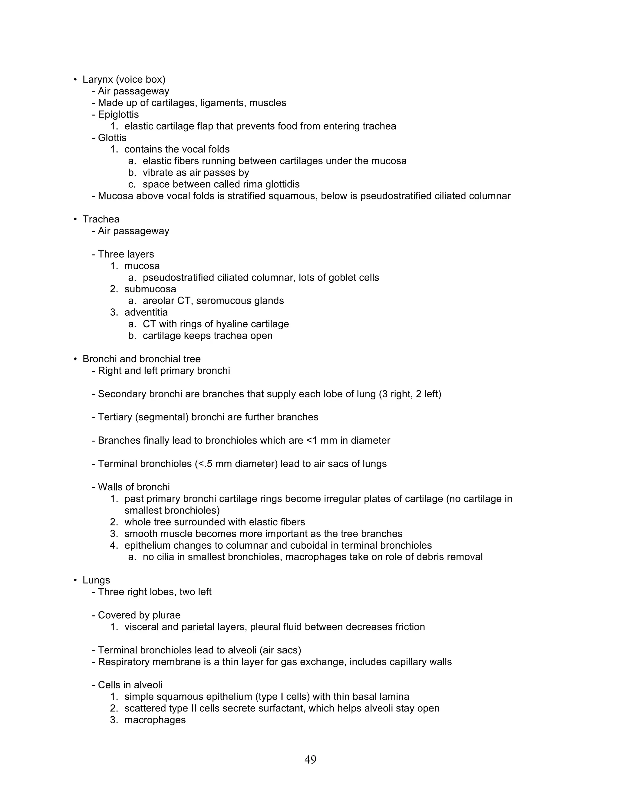 11. Human Anatomy Lecture Notes author Rebecca Bailey.pdf