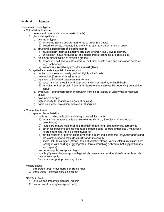 11. Human Anatomy Lecture Notes author Rebecca Bailey.pdf