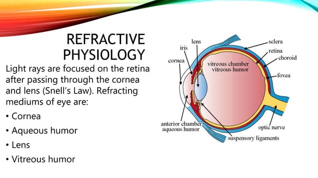 11. Refractive errors.pptx