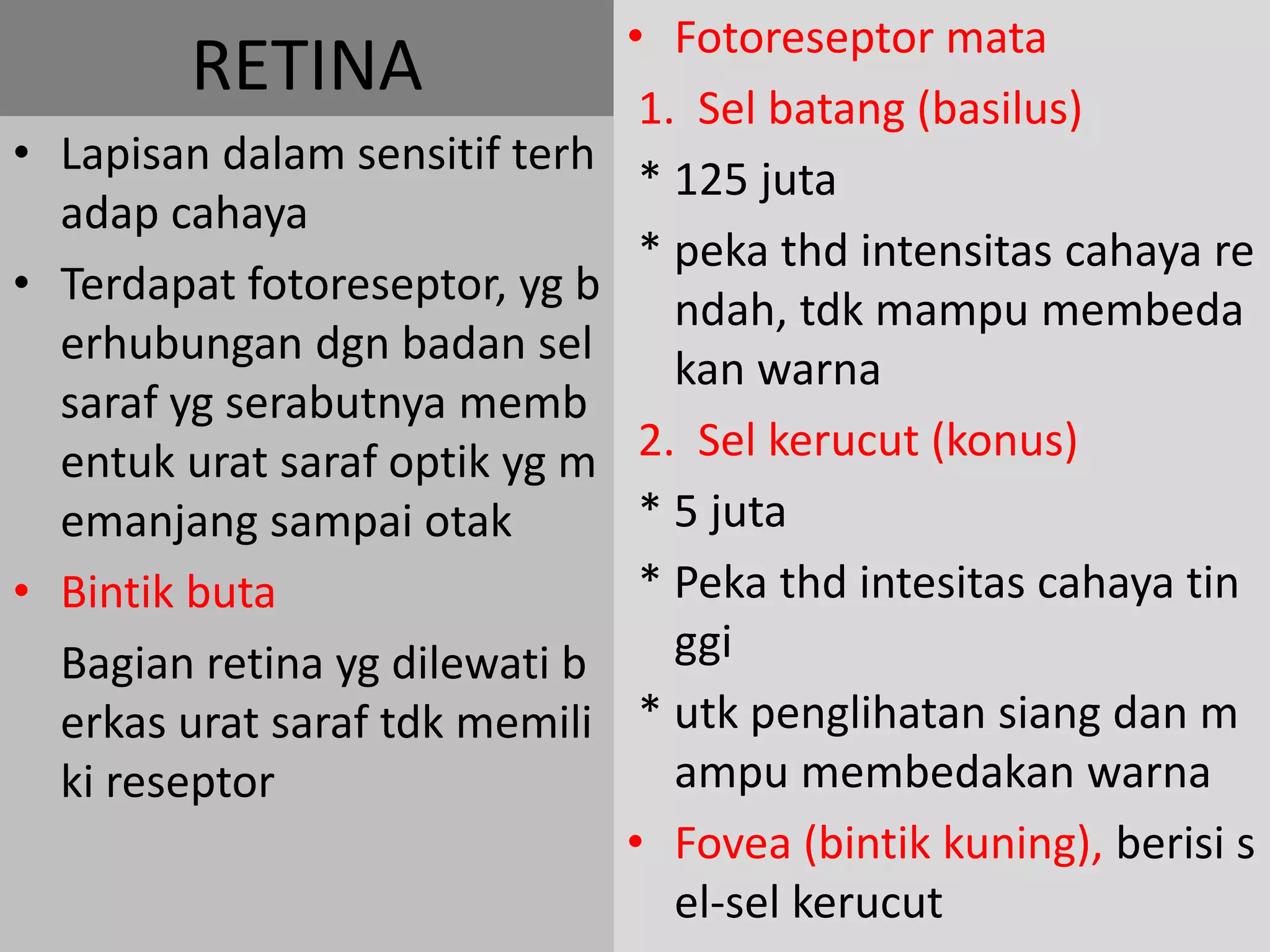 Sistem Indra Pada Manusia.ppt