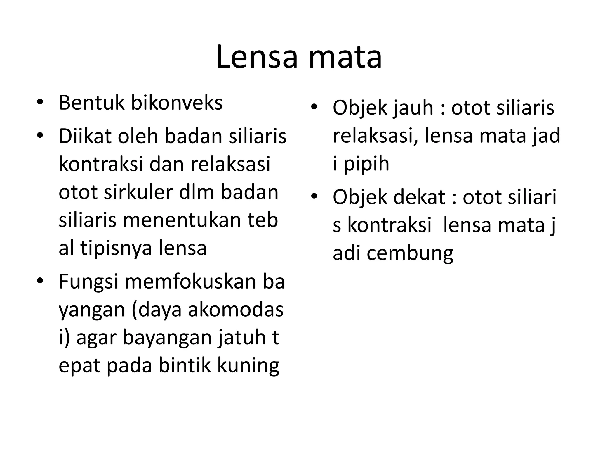 Sistem Indra Pada Manusia.ppt