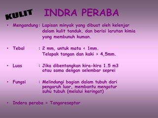 Sistem Indra Pada Manusia.ppt