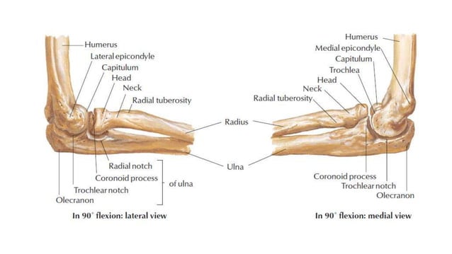 Fractures around elbow lateral condyle and intercondylar fractures | PPT