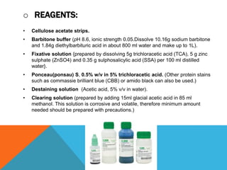 Electrophoresis, procedure, importance.pptx