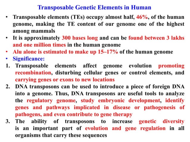 11. Transposable Genetic Elements Part 4.pptx