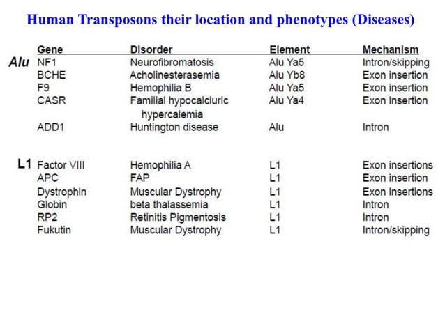 11. Transposable Genetic Elements Part 4.pptx