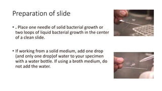 11.Media preparation (1).pptx