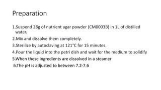 11.Media preparation (1).pptx