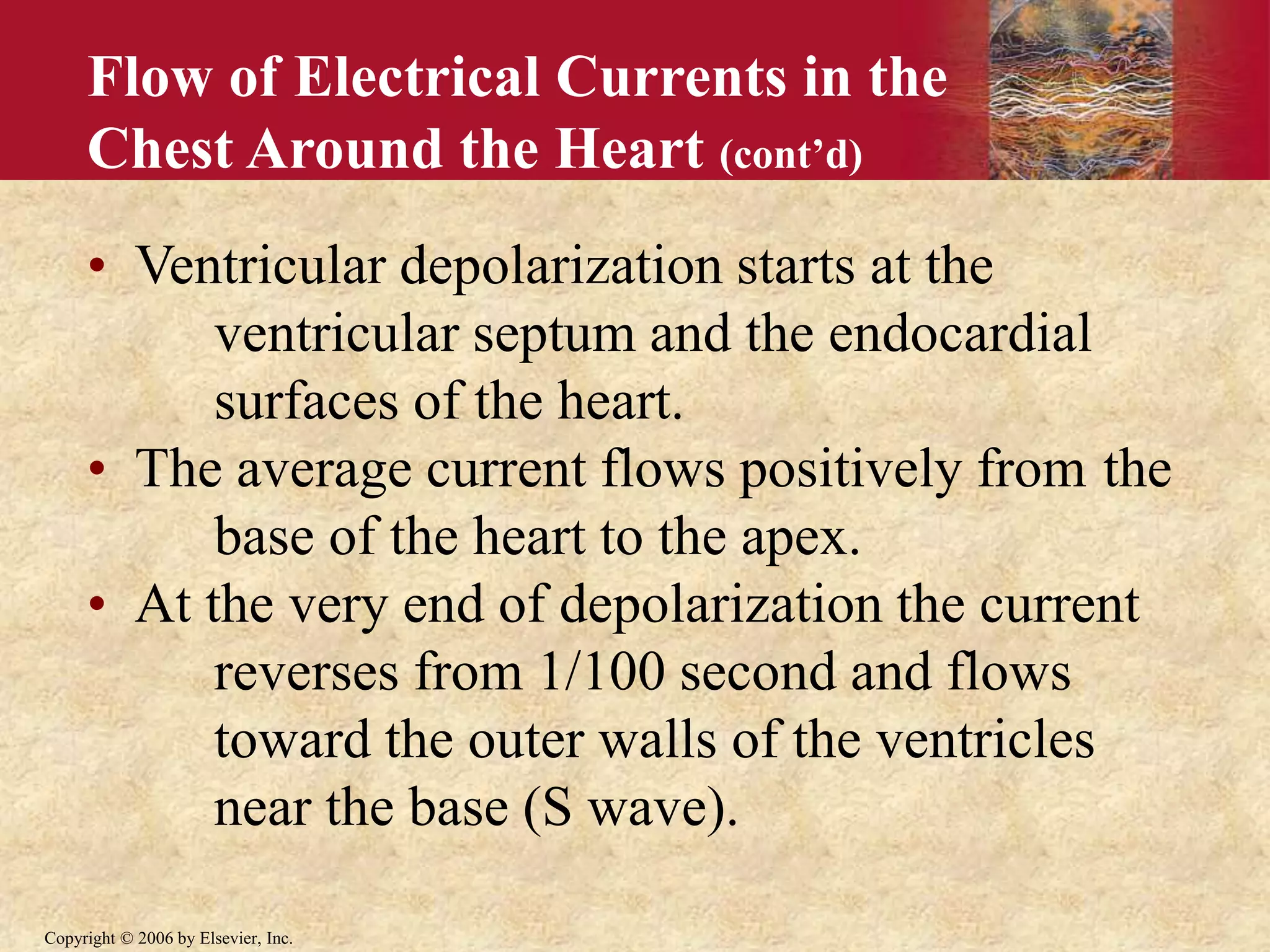 11.The normal electrocardiogram.ppt