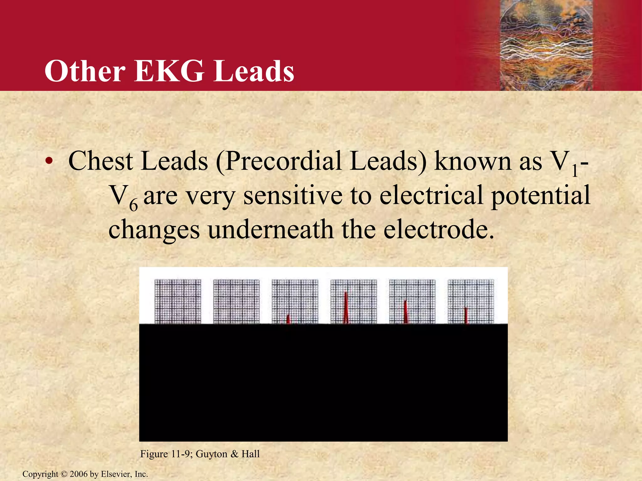 11.The normal electrocardiogram.ppt
