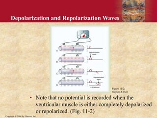 11.The normal electrocardiogram.ppt