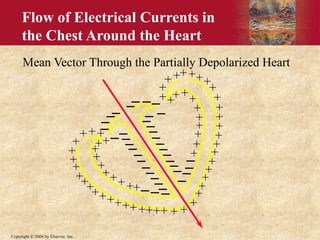 11.The normal electrocardiogram.ppt