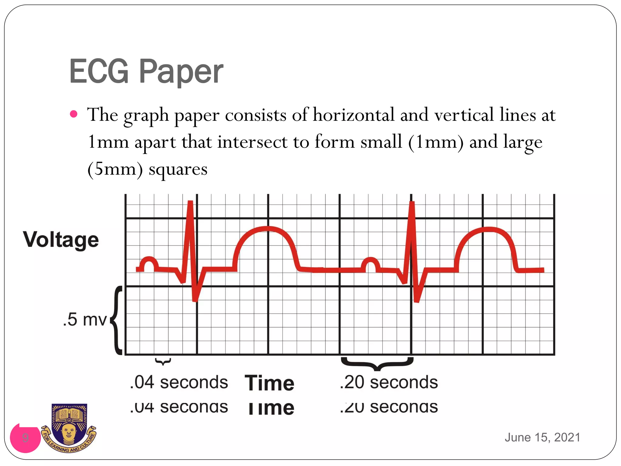 11. CVS ECG Introduction.pdf