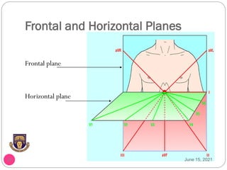11. CVS ECG Introduction.pdf