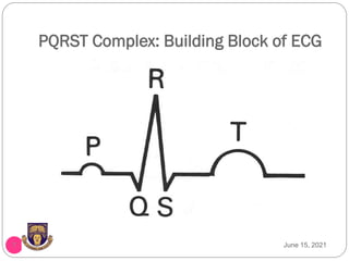 11. CVS ECG Introduction.pdf