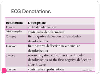 11. CVS ECG Introduction.pdf