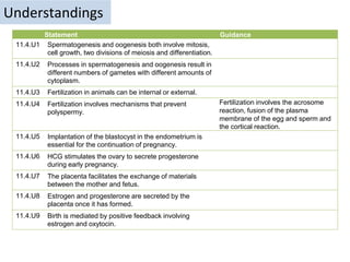 11.4 sexual reproduction (1).pptx