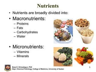 11. Nutrition, Vitamins and Trace Elements 1a.ppt