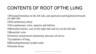Lungs.pptx