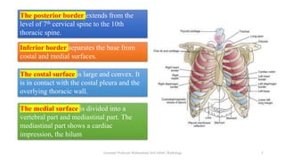 Lungs.pptx