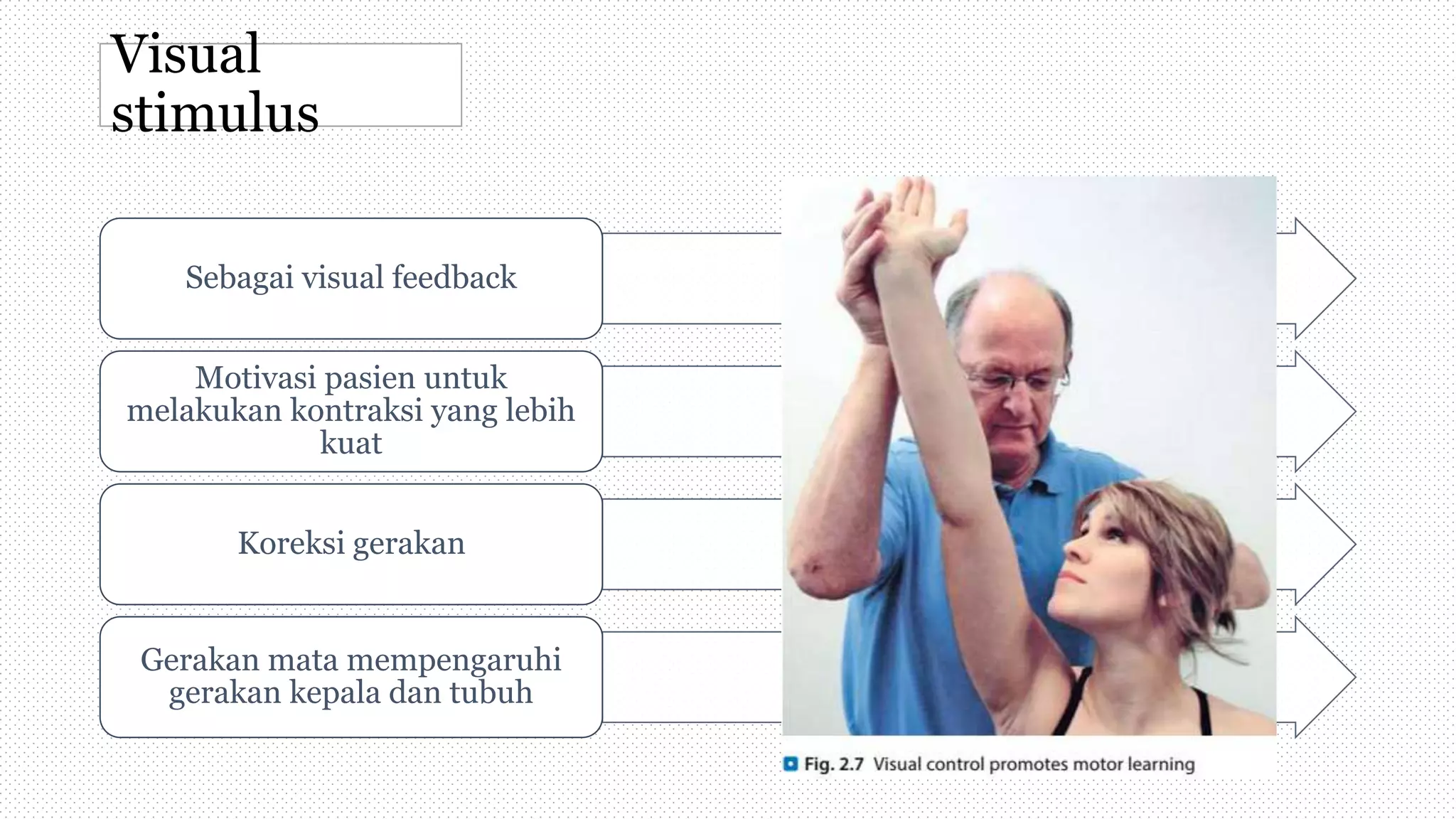11. Proprioceptive Neuromuscular Facilitation (PNF).pptx