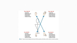 11. Proprioceptive Neuromuscular Facilitation (PNF).pptx