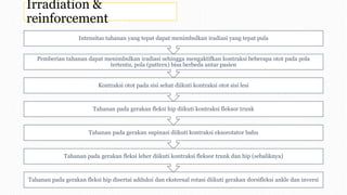 11. Proprioceptive Neuromuscular Facilitation (PNF).pptx