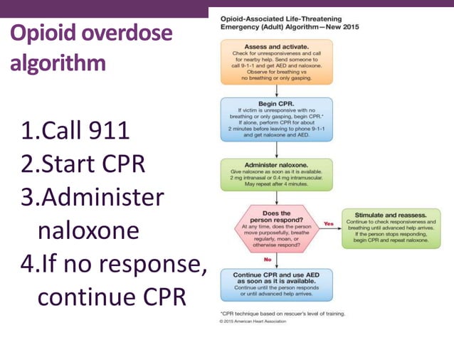 Opioid Use | PPTX