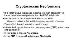 11. MICROORGANISMS SPECIES, RELATED DISEASES AND THEIR EPIDEMIOLOGY ...
