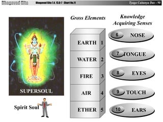 11. The Five Gross Elements (C).ppt