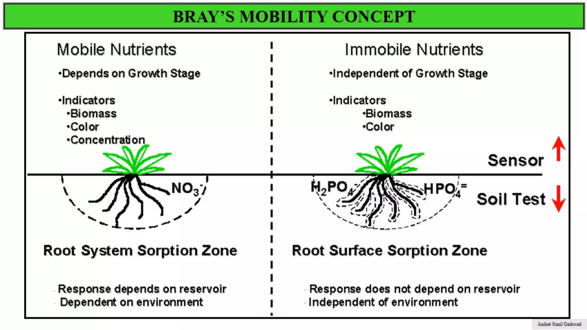 Movement of Salts in Soils and Models for Miscible-Immiscible ...