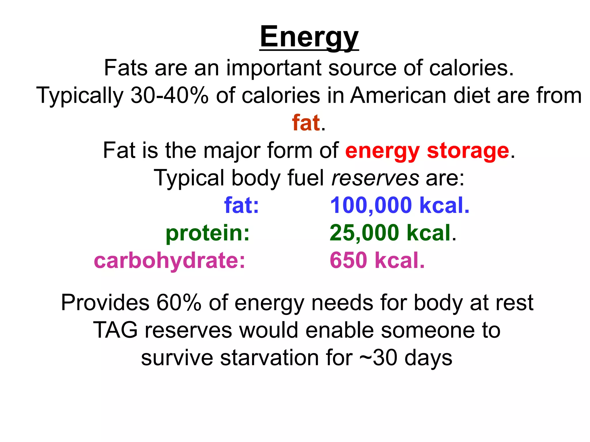 11. Metabolism of lipids (Biochemistry) | PPT