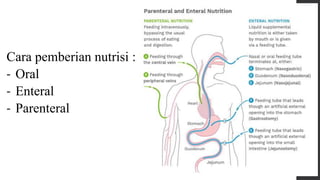 Terapi Nutrisi Pasien Kanker | PPTX