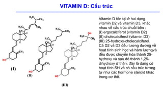 11. Vi chat dinh duong_Vitamin D.pptx
