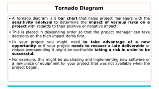 11. Project Risk Management.pptx