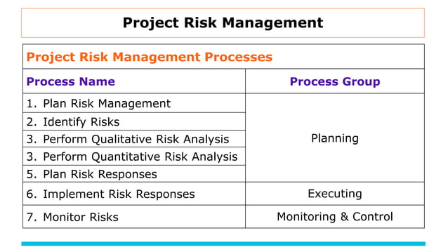 11. Project Risk Management.pptx