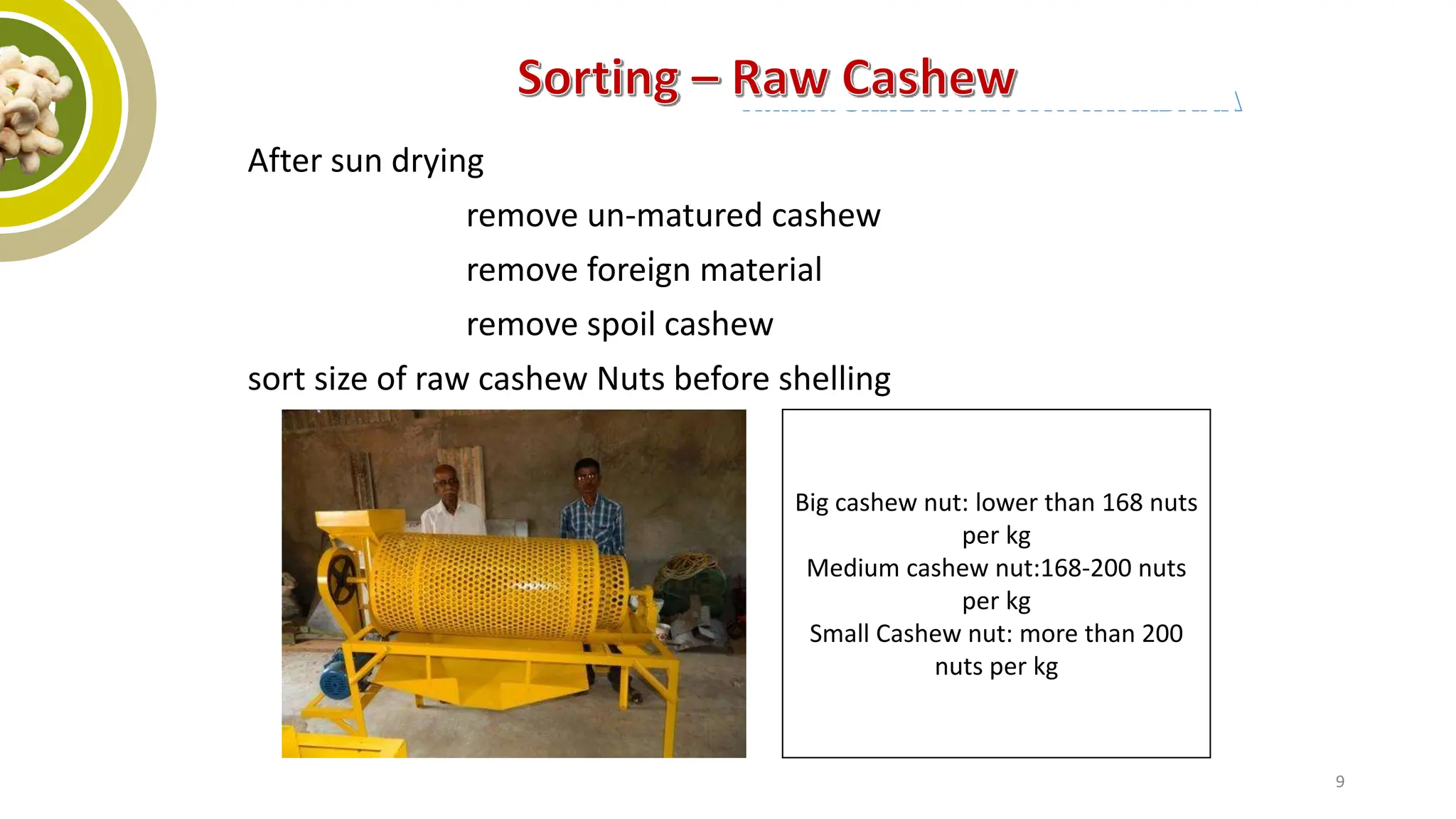 Harvesting, Processing and preservation of cashew-base products | PPTX