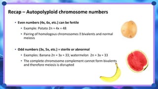 11.ploidy-2_21_ph.pptx