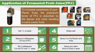 11. Different families of vegetables.pptx
