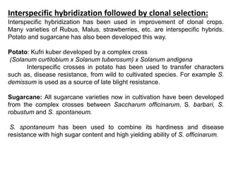 11.CLONAL_SELECTION. by abhisek jena cskhpkv | PPTX