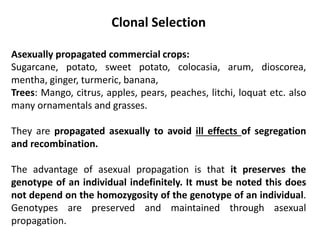 11.CLONAL_SELECTION. by abhisek jena cskhpkv | PPTX