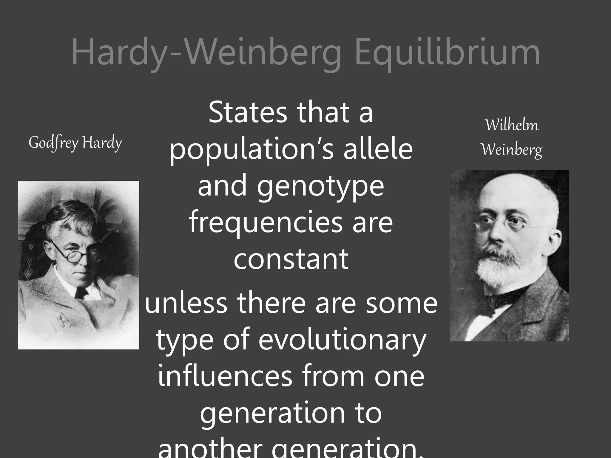 11. Hardy-Weinberg Principle.ppt Genetics | PPT