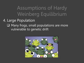 11. Hardy-Weinberg Principle.ppt Genetics | PPT